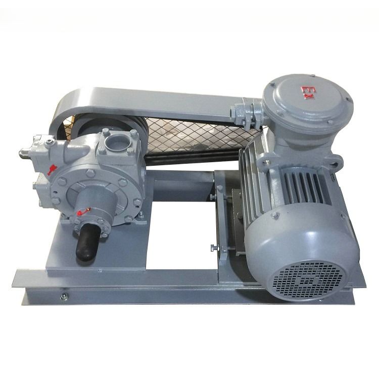 Electric Motor-Powered Standard Propane Vane Pump for Standard Fuel ...