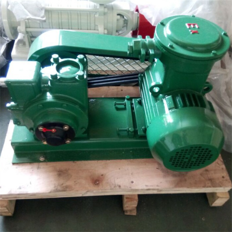 YB Series Rotary Vane Pump With V-Belt Ex-Proof Motor